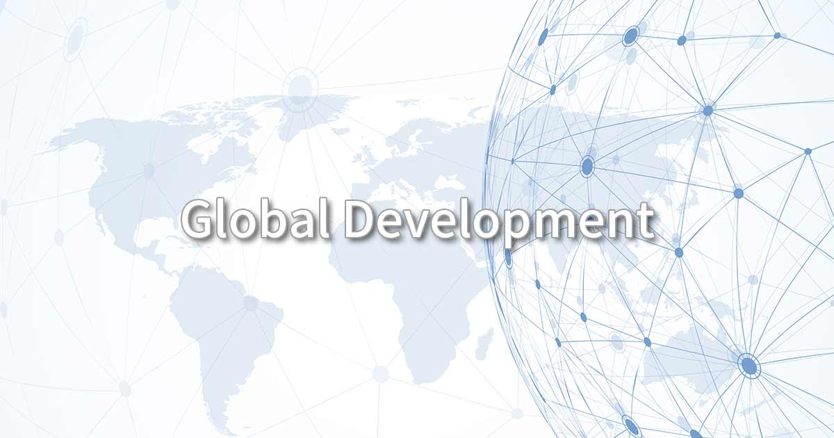 Global Development | Service | intellim Corporation